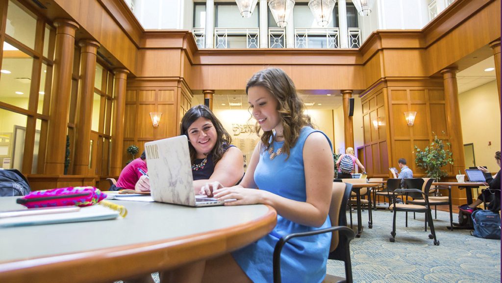 Majors - Lerner - University of Delaware